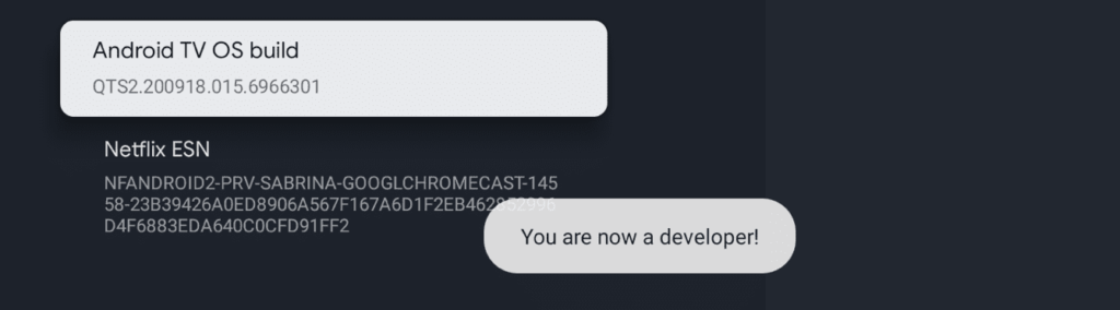 Set Up ExpressVPN on your Chromecast With Google TV